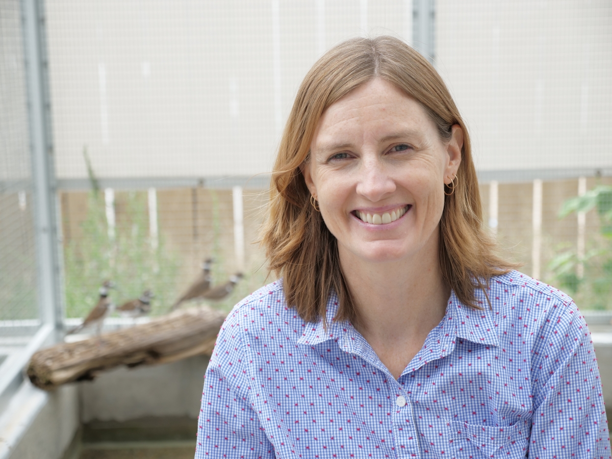 SSO Set to Soar: World premiere of Ho’s saxophone concerto – Brit's Picks